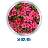 Alaska Fish Emulsion Plant Food, 5-1-1 Fertilizer, 1 gal - Walmart.com
