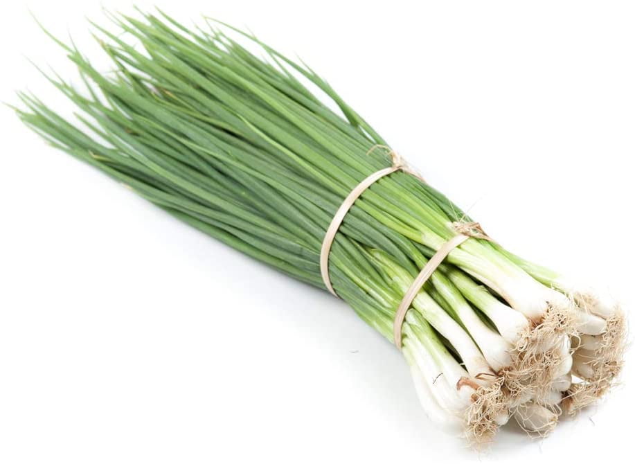 Todd's Seeds Evergreen Bunching Nebuka Onion Heirloom Seed - Walmart.com