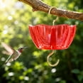 Ant Moat for Hummingbird Feeders and Oriole Feeders - 5 OZ x 2 Pack Red ...