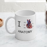 CafePress - I Heart Anatomy Mugs - 11 oz Ceramic Mug - Novelty Coffee ...