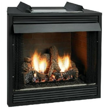 Duluth Forge Dual Fuel Ventless Gas Fireplace Insert - 32,000 BTU, T ...