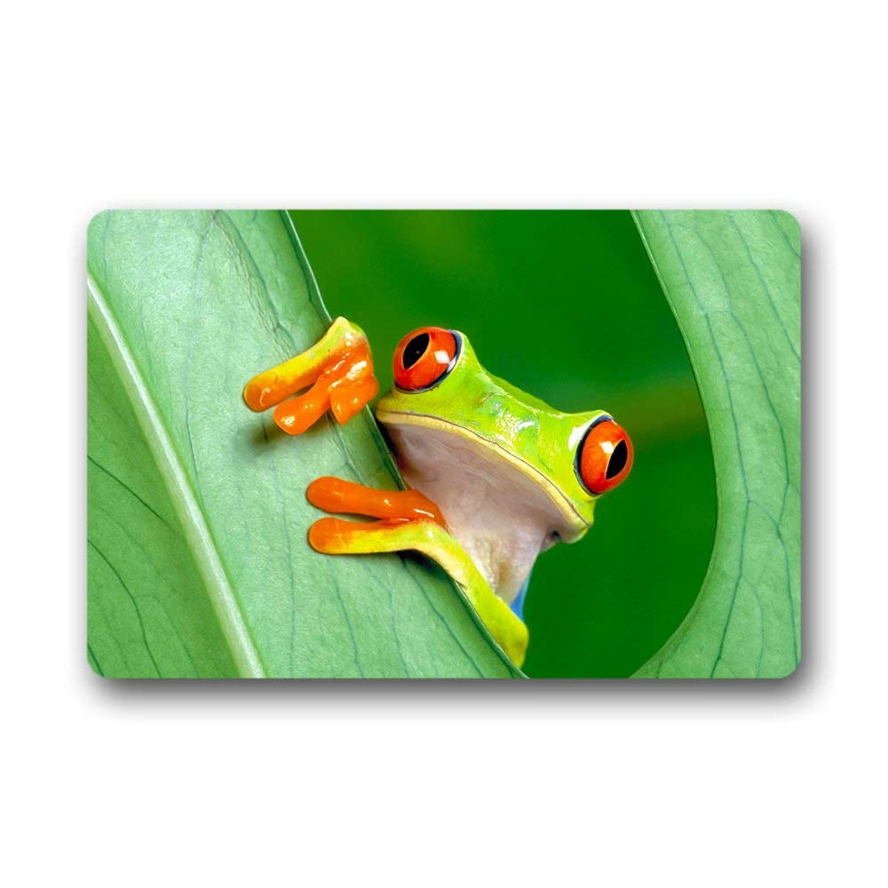 CADecor Frog Doormat Indoor Outdoor Floor Rug 30x18 inches - Walmart.com