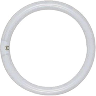 Philips Circline Fluorescent T9 Light Bulb: 12-Inch, 4100-Kelvin, 32 ...