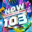 Various Artists - Now That's What I Call Music 91 CD - Walmart.com