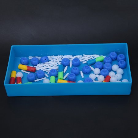 Double DNA Model, Detailed Vivid DNA Model For Education For Teaching ...