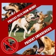 Coyote Vest for Small Dogs, Removable Spikes Hawk Predator Harness ...