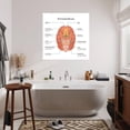 12 Cranial Nerves Poster Nursing Cheat Sheet Clinic Wall Art (9) Canvas ...