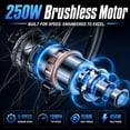 20” Adult Electric Bike, 250W Motor, 19 MPH Max Speed, 48V 9Ah ...