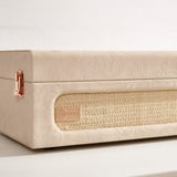 Arkrocket Coryphaeus Vinyl Record Player 3-Speed Bluetooth Input and ...