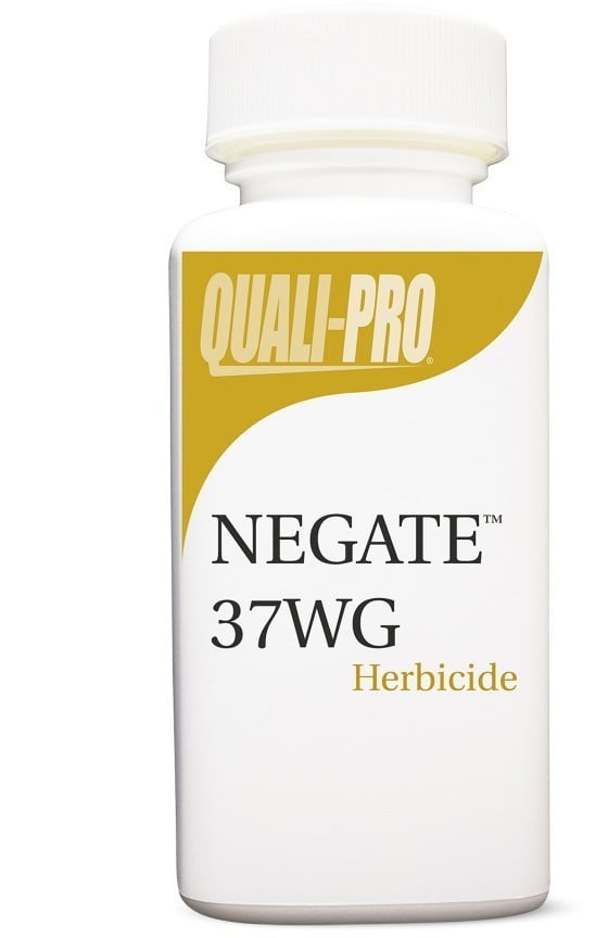 Negate 37WG 1.5oz- Broadleaf Selective Herbicide - Walmart.com