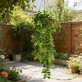72cm Artificial Green Hanging Wall Mounted Wisteria Leaf Grass for ...