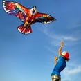 HENGDA KITE Colorful Eagle Kite, 63in*27in Outdoor Toy for Kids, Teens ...