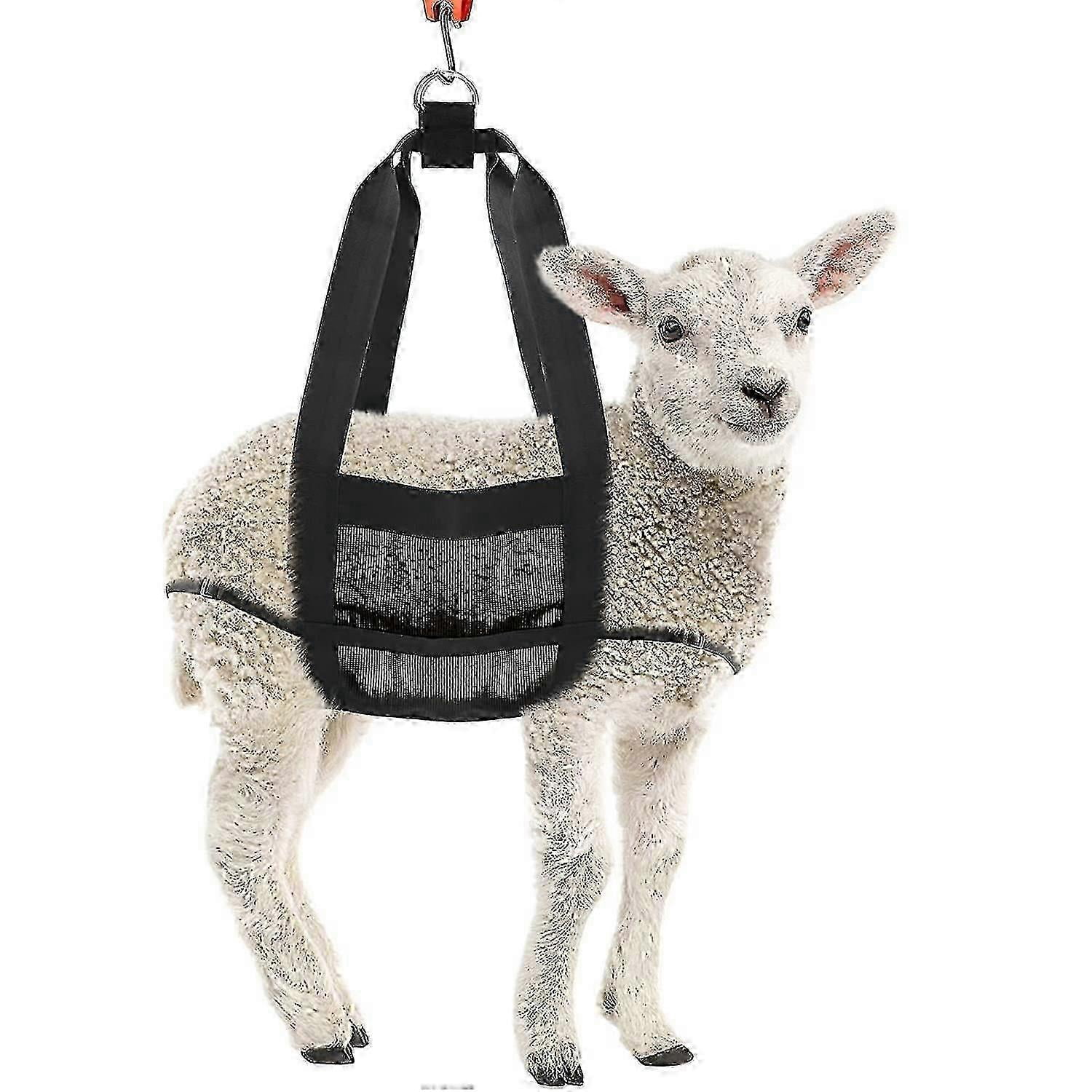Heavy-Duty Adjustable Calf Sling for Weighing Newborn Animals with ...