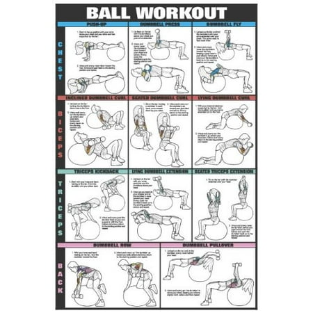 Fitnus Chart Series Co-ed Swiss Ball Workout I 24" X 36" Laminated ...