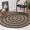 SAFAVIEH Braided Tanisha Color Bordered Area Rug, Beige/Black, 6' x 6 ...