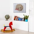 Anatomical Poster Sagittal Section Of Brain In Situ Posters Wall Art ...