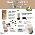 Pinon Pine | Tree Seed Grow Kit | The Jonsteen Company - Walmart.com
