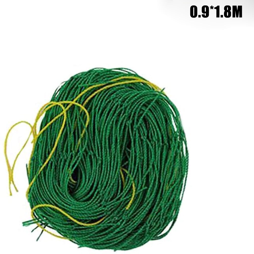 Kiplyki Wholesale Fruit Vegetable Flower Vine Plants Climbing Net ...