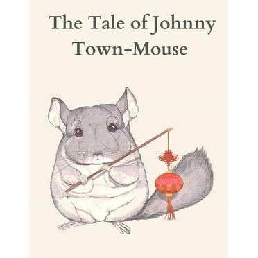 Library Mouse : A World to Explore (Hardcover) - Walmart.com