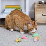 SmartyKat Skitter Mice Spring Plush Mice & Bunny Cat Toys with Pure ...