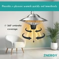 ZNERGY Electric Halogen Silver Ceiling Hanging Heater 600W, 1500W ...