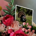 3drose, Wild Turkey Male Strutting., 12 Greeting Cards with Envelopes ...