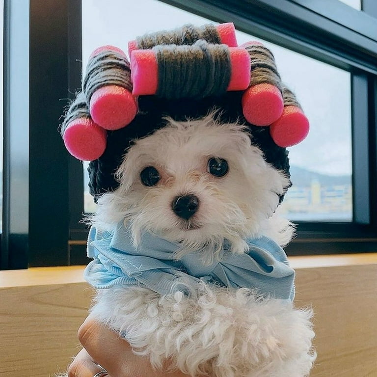Dogs With Wigs