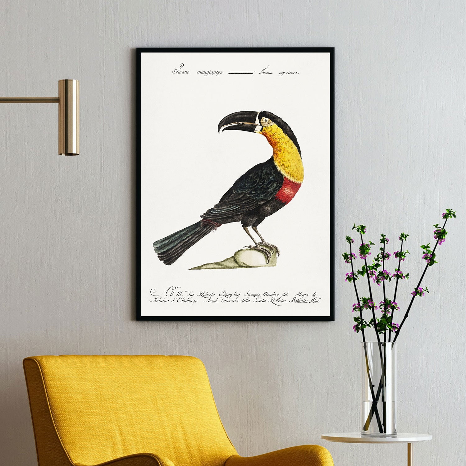 Tucana Piperivora - Mangiapepe Toucan | Saverio Manetti | Premium Fine ...