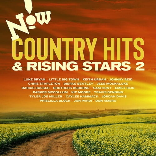Various Artists - Now Country: Hits & Rising / Various - CD - Walmart.com