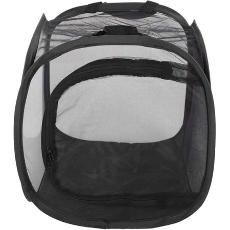 Foldable Stick Insect Cage, Insect and Butterfly Habitat Cage Butterfly ...