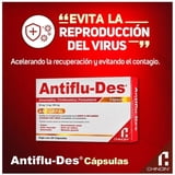 Antiflu-Des caja con 24 cápsulas | Walmart en línea