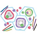Original Spirograph Fun Shapes Art & Drawing Set - Spiral Activity ...
