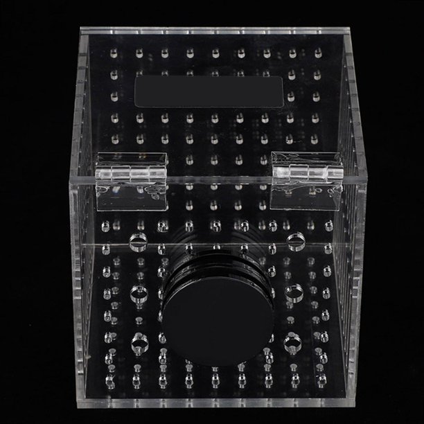 Isolation Box Fish Breeding Isolation Box, Aquarium Fish Isolation Box ...