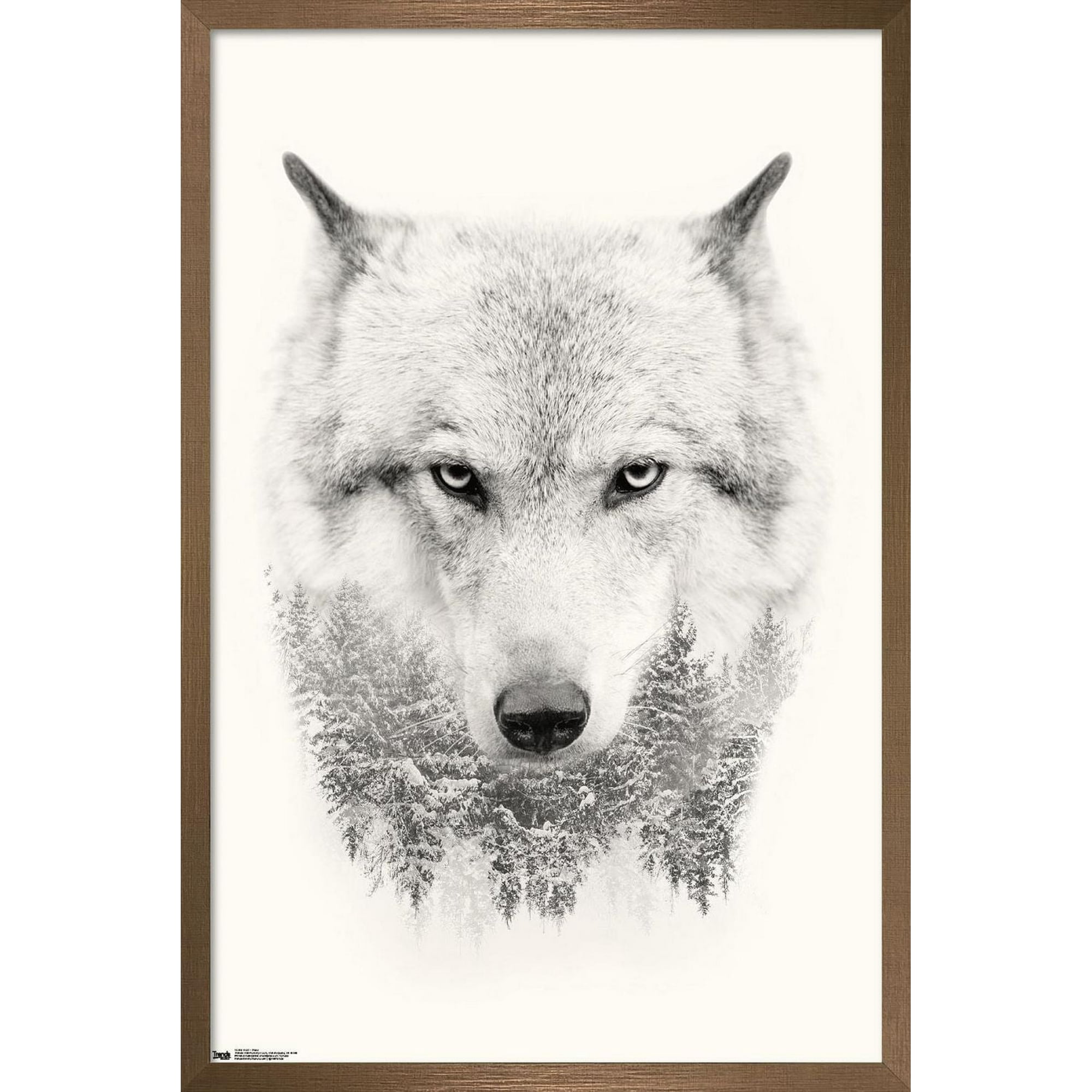 Click here for Trends International Wolf - Trees Wall Poster  22.... prices