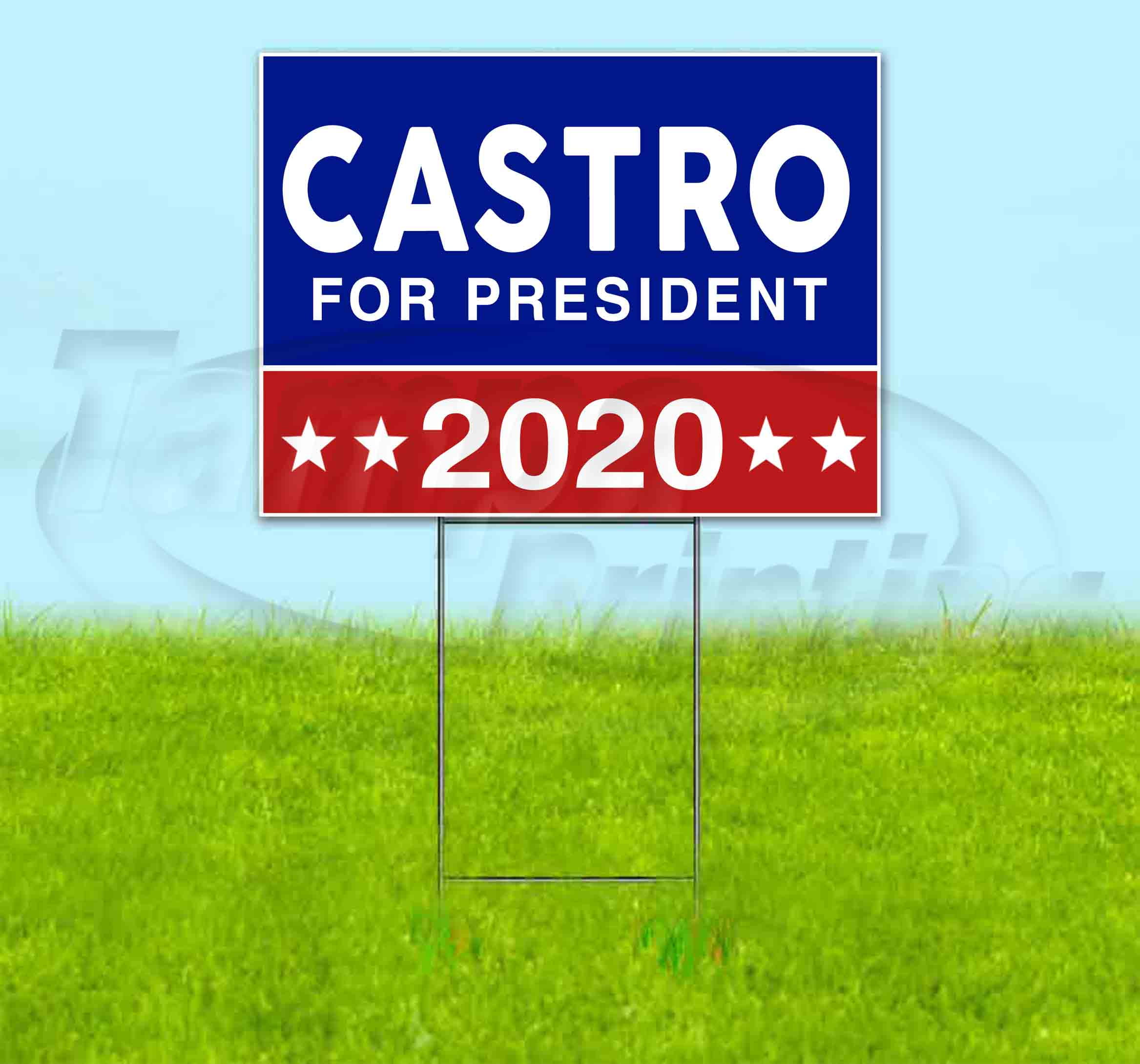 Castro For President 2020 (18" x 24") Yard Sign, Includes Metal Step ...