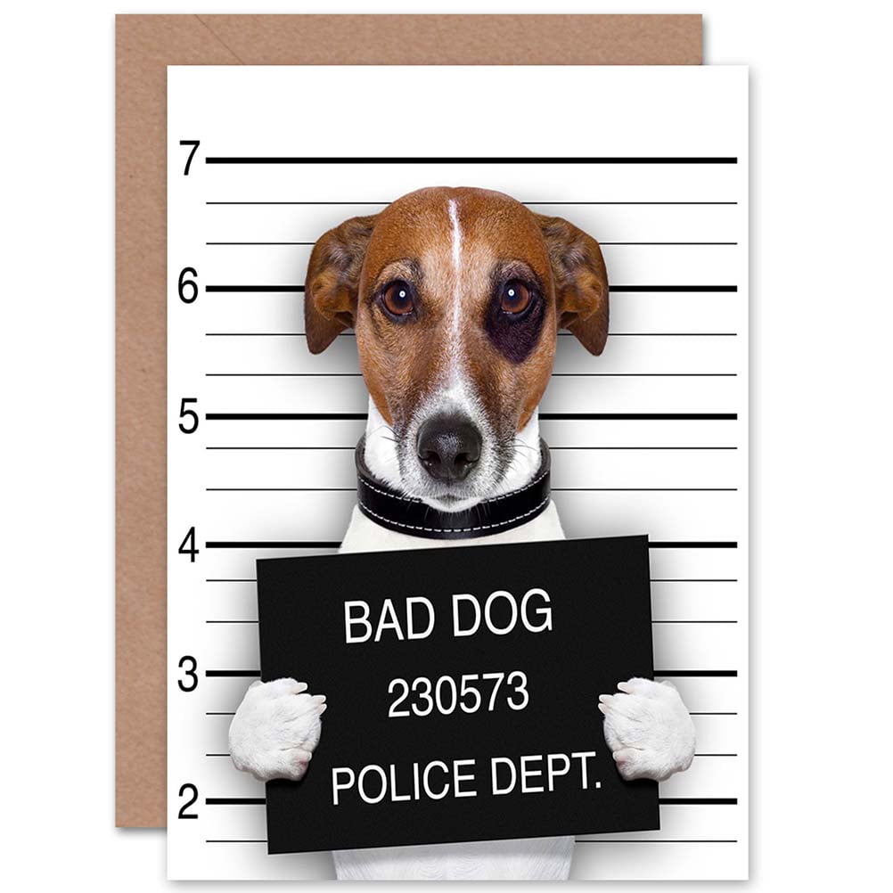 Jack Russell Dog Mugshot Police Bad Photo Birthday Greetings Card Plus ...