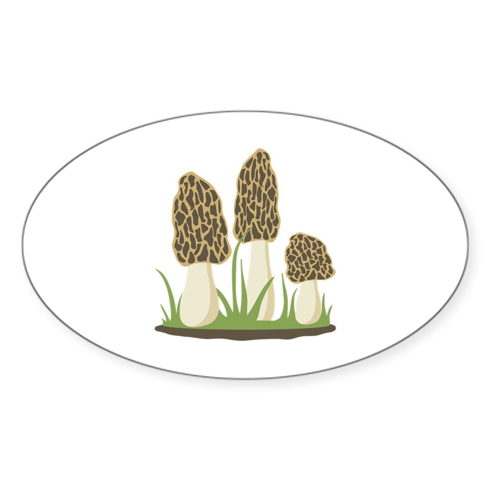 CafePress - Morel Mushrooms Sticker - Sticker (Oval) - Walmart.com