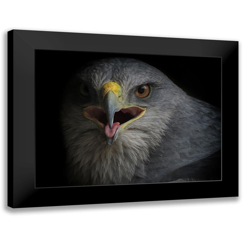 valverde, Ferdinando 24x19 Black Modern Framed Museum Art Print Titled ...
