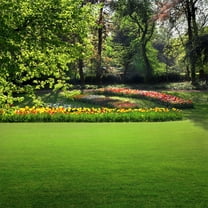 Outsidepride Creeping Red Fine Fescue Grass Seed, 5 lb, Shade and Sun ...