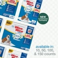 Four Paws Wee-Wee Febreze Freshness Odor Control Potty Training Dog ...