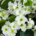 Nearly Natural UV Resistant Outdoor Artificial Geranium with ...