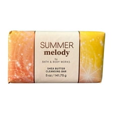 Bath & Body Works Shapeable Vanilla Bean Noel Bath Soap, 4.9 Fl Oz ...