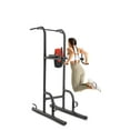 Weider Power Tower with Four Workout Stations and 300 lb. User Capacity ...