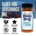 Blues Hog Sweet & Savory Seasoning, Gluten-Free, 12.5 oz - Walmart.com