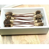 Mini Pine Cone, 9" Rattan Wood Reed Diffusers Replacement Sticks, 16 pk ...