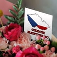3drose, the Flag of the Czech Republic in the Outline Map of the ...