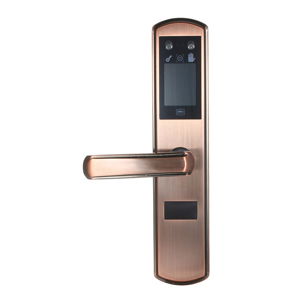 Smart Electronic Door Lock Sensor Key Free Facial Recognition ...