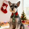 Christmas pet costumes and bow ties, featuring classic red, green, and ...