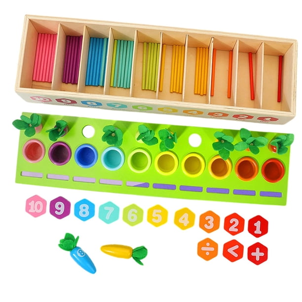 Montessori Rainbow Counting Sticks Radish Counting Pairing Box for ...