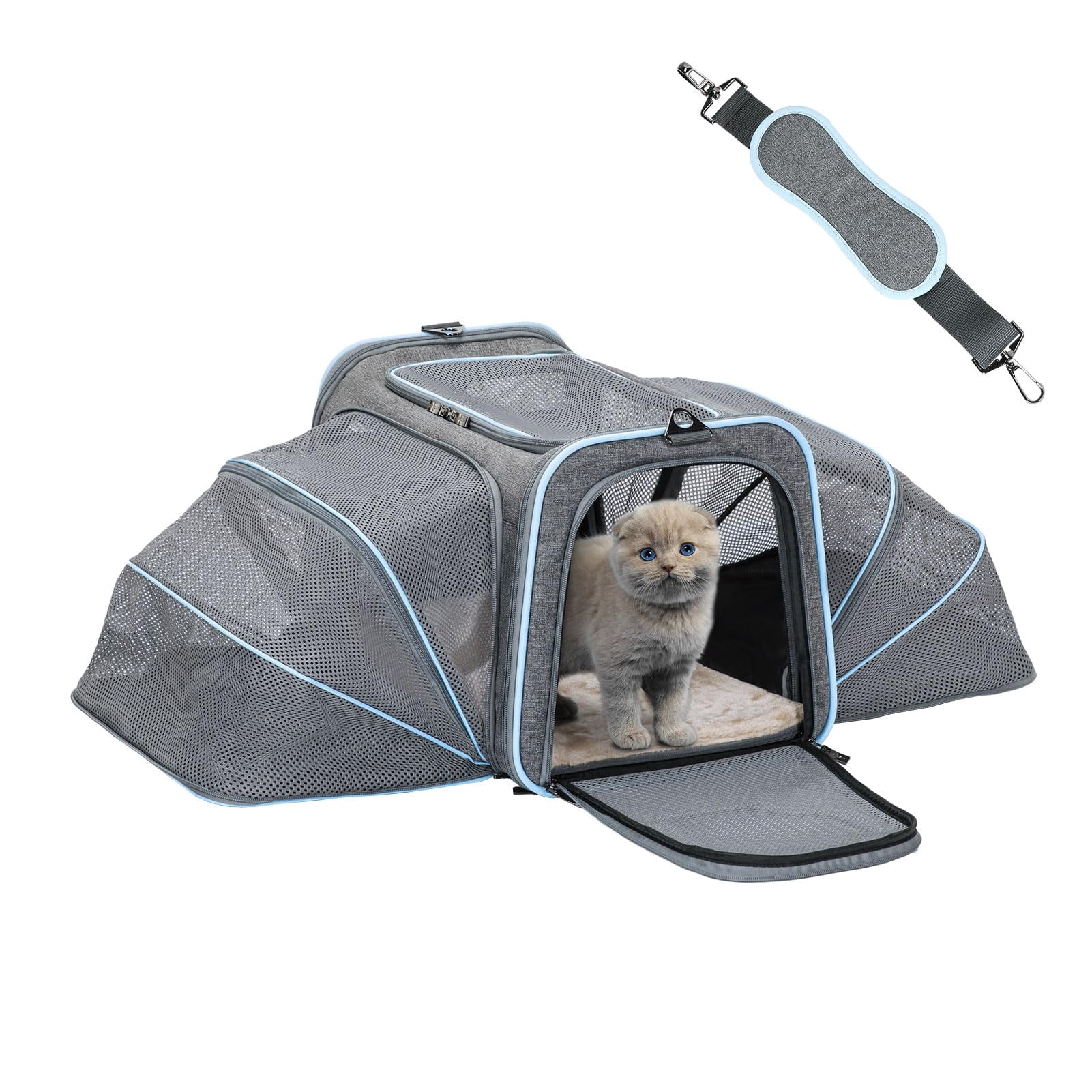 Petsfit Cat Carrier Expandable Dog Carrier Only for Small Dogs or Tiny ...